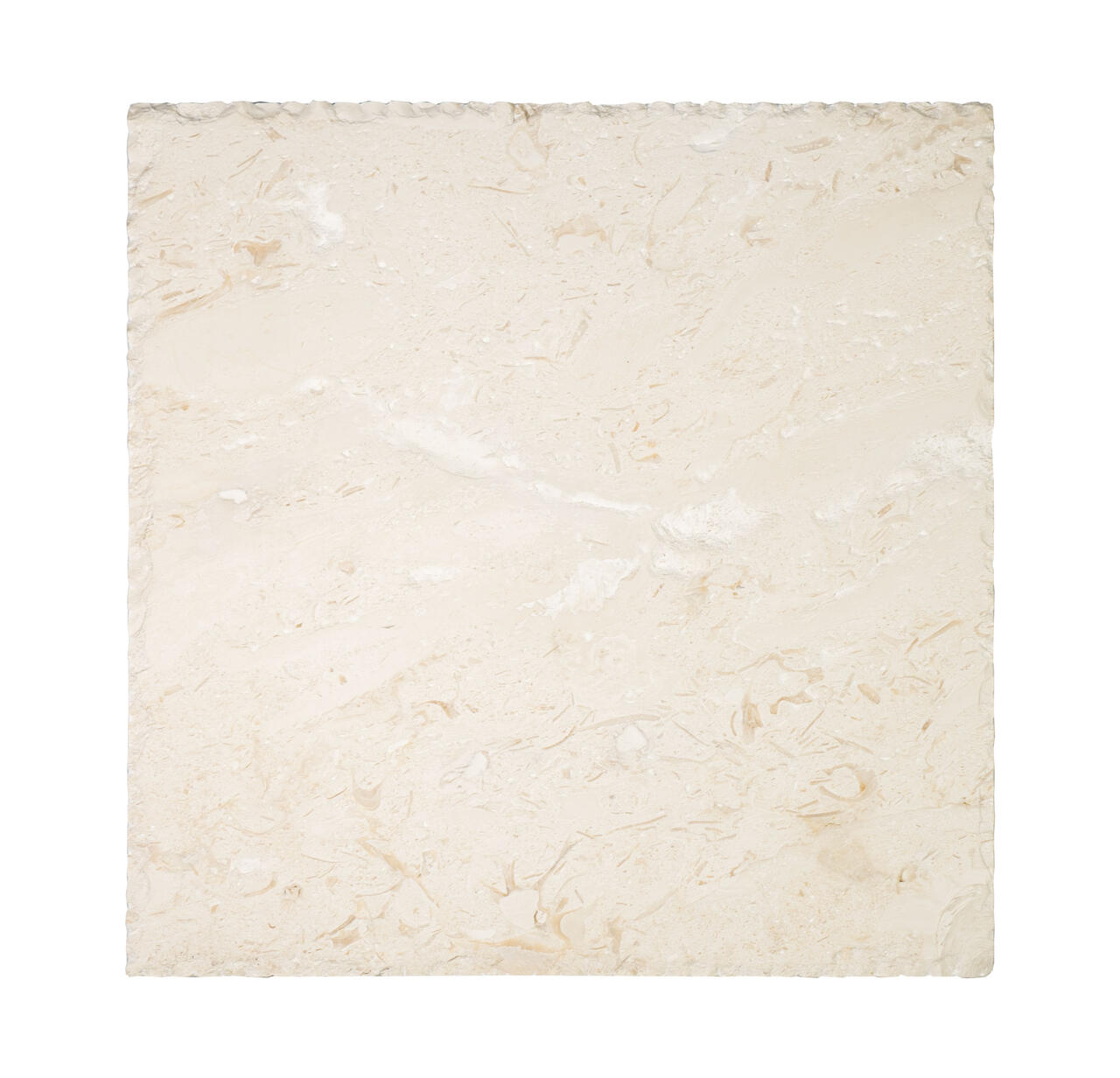 16"x16" Shell Reef Limestone French Pattern – Active Home Centre