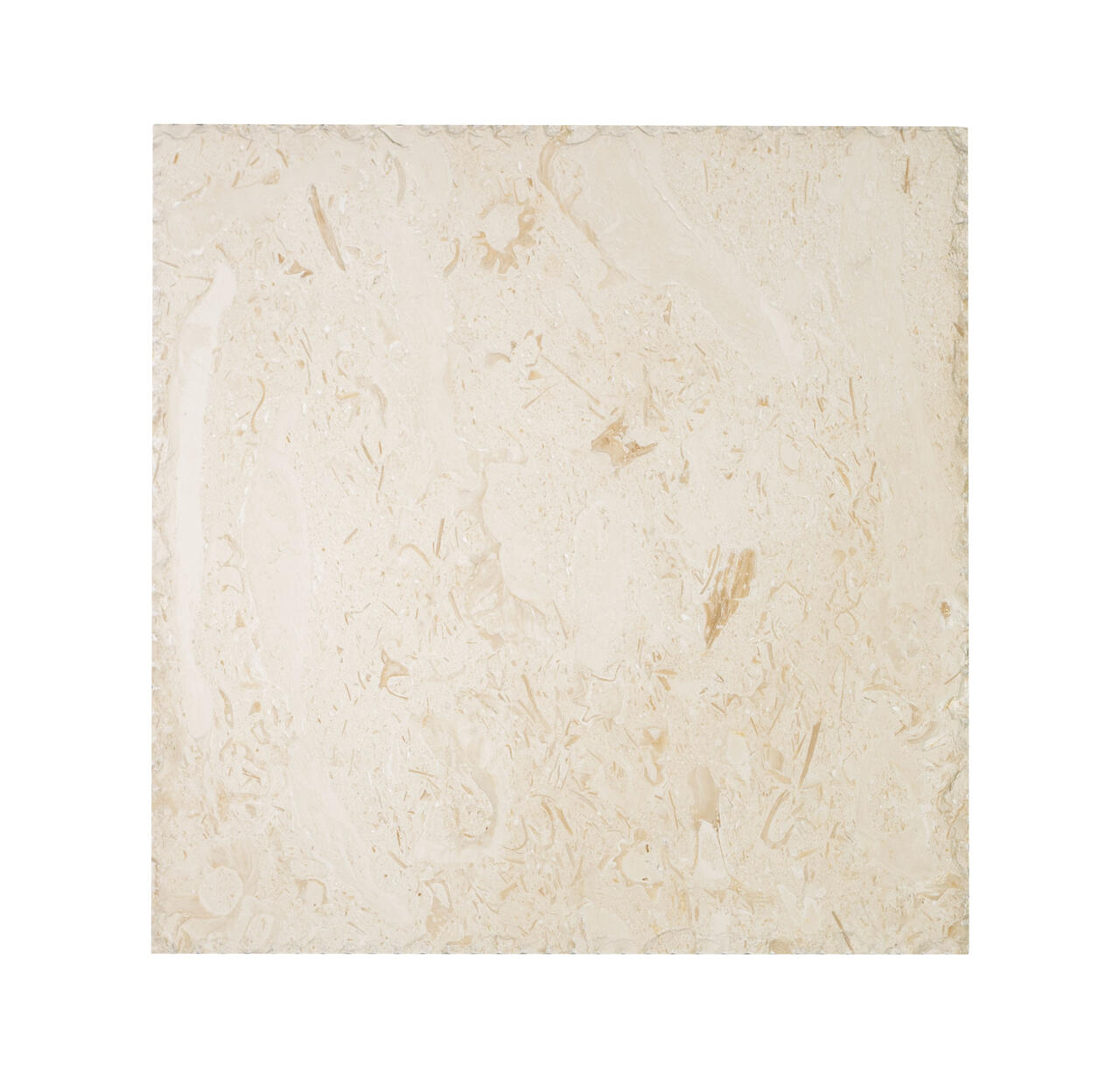 24"x24" Shell Reef Limestone French Pattern – Active Home Centre