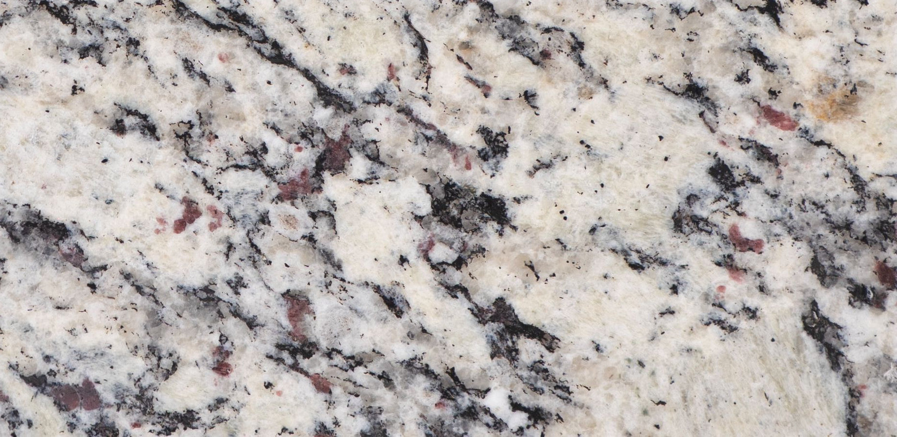 Samoa White Granite Slab (Per Square Foot) – Active Home Centre