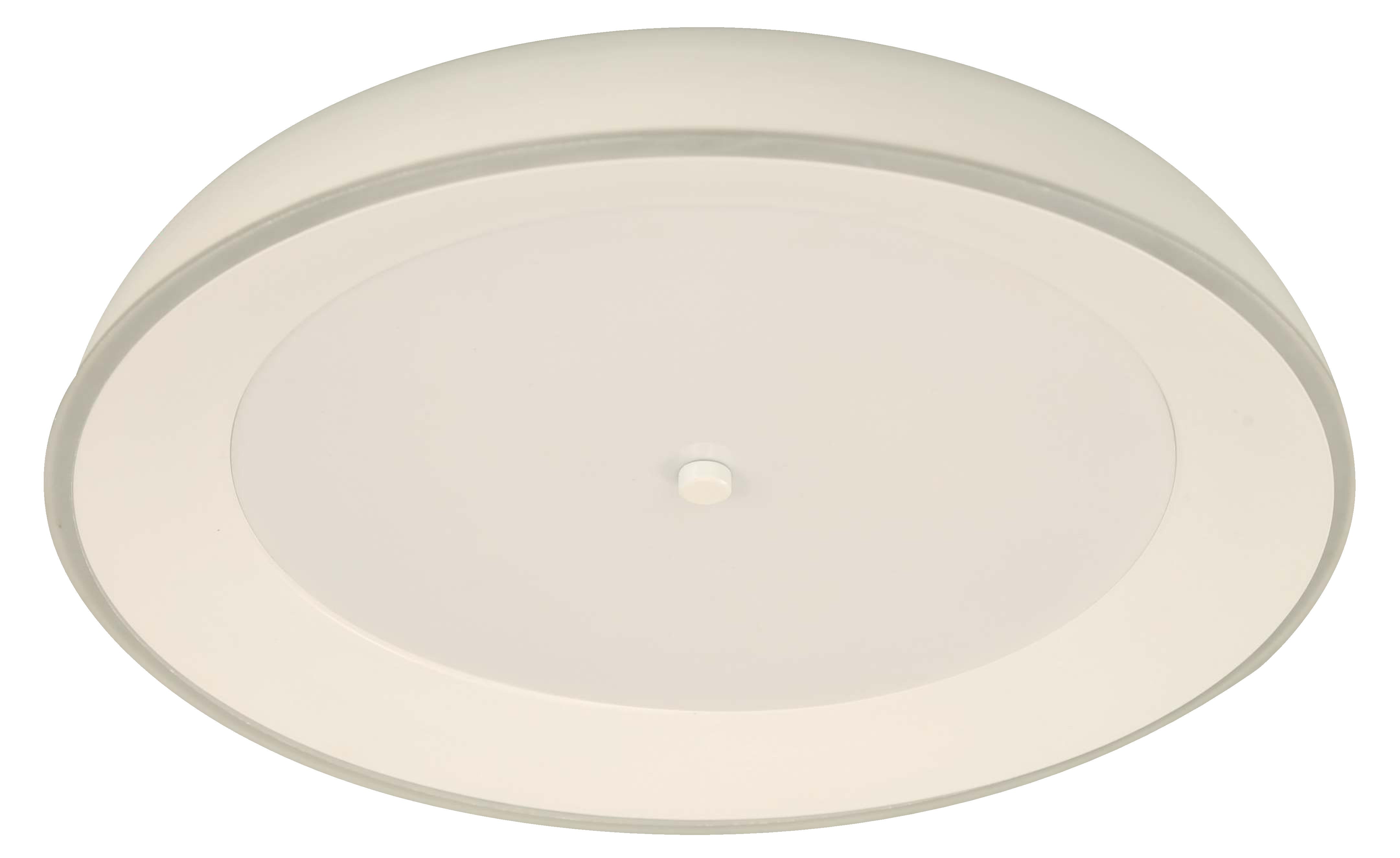 24270 LED Ceiling Light in Matt White – Active Home Centre